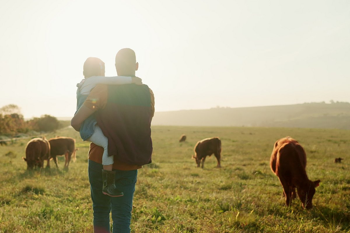 Potenziale strategisch entfalten: 14 Millionen Euro für die TiHo
