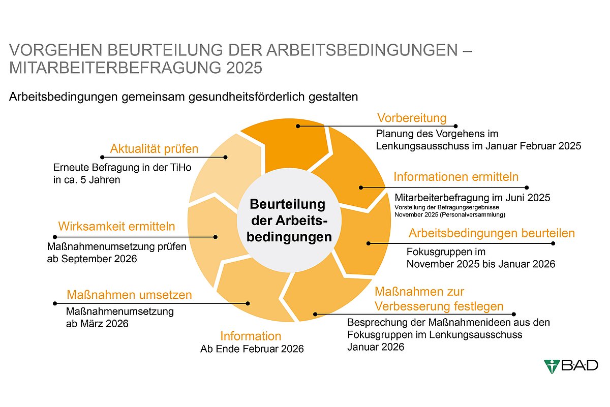 Jetzt teilnehmen: Befragung zu den Arbeitsbedingungen an der TiHo
