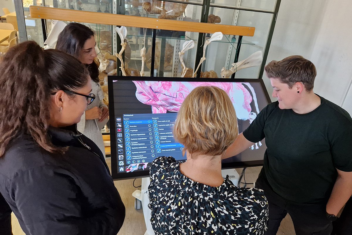 TiHo positiv evaluiert